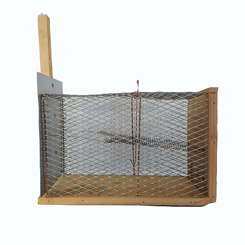 تله موش قفسی سایز سفارشی/مشخصات و خرید انواع تله موش