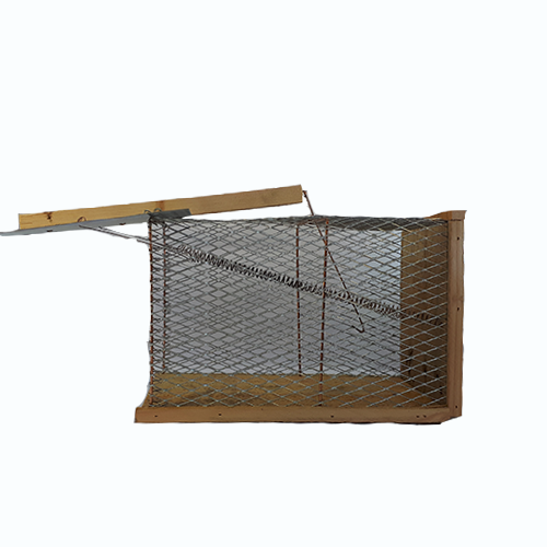 تله موش قفسی سایز سفارشی/مشخصات و خرید انواع تله موش