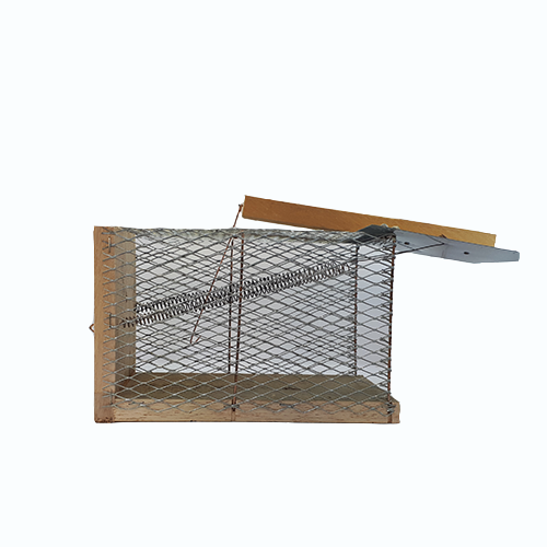 تله موش قفسی سایز بزرگ،مشخصات و قیمت تله موش های قفسی